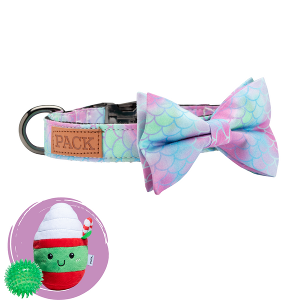 Ariel Bow Tie Dog Collar - Pack Leashes