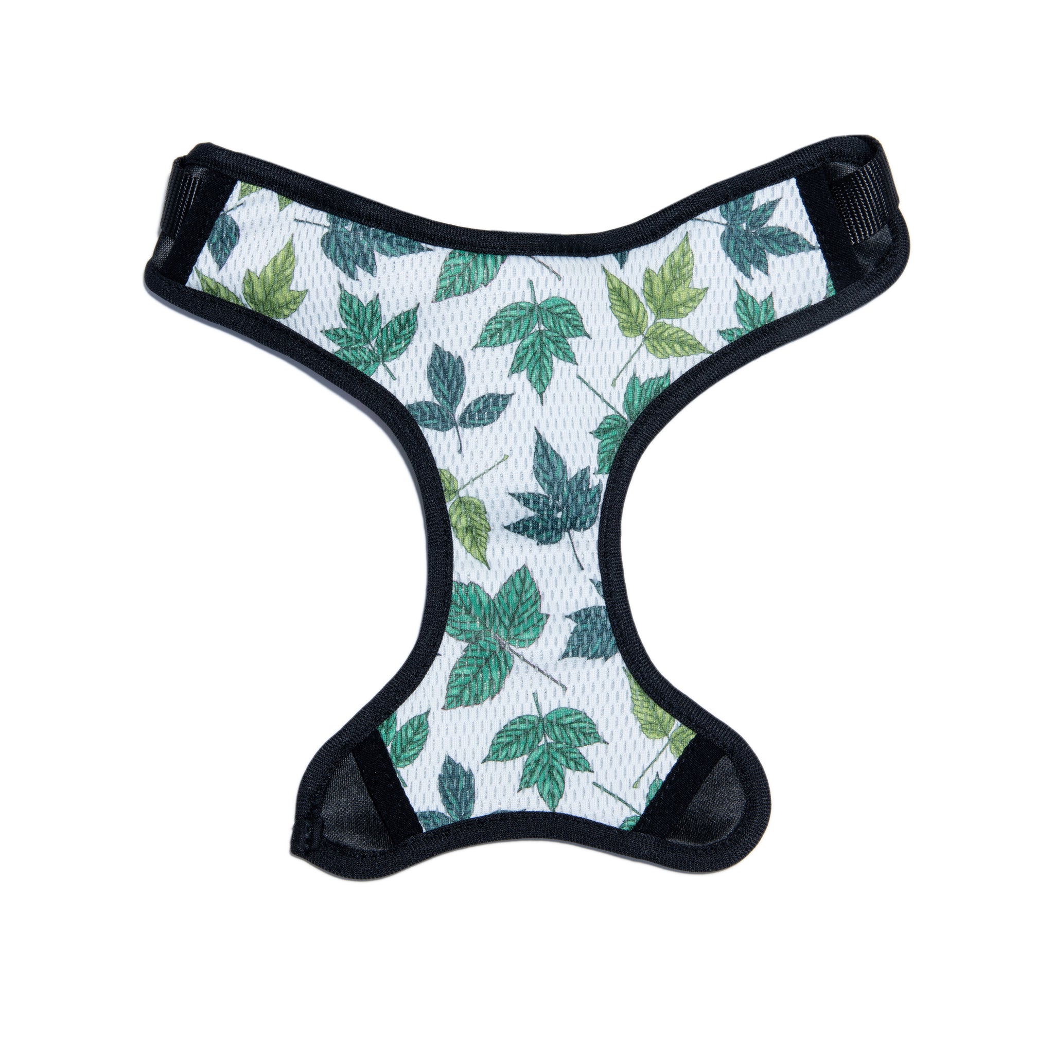 Rainforest // Flora - Pack Leashes