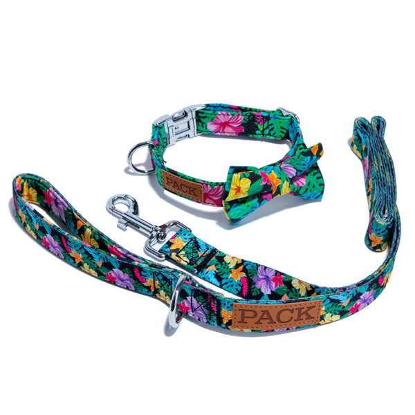 Rainforest Bow Tie Dog Collar - Pack Leashes