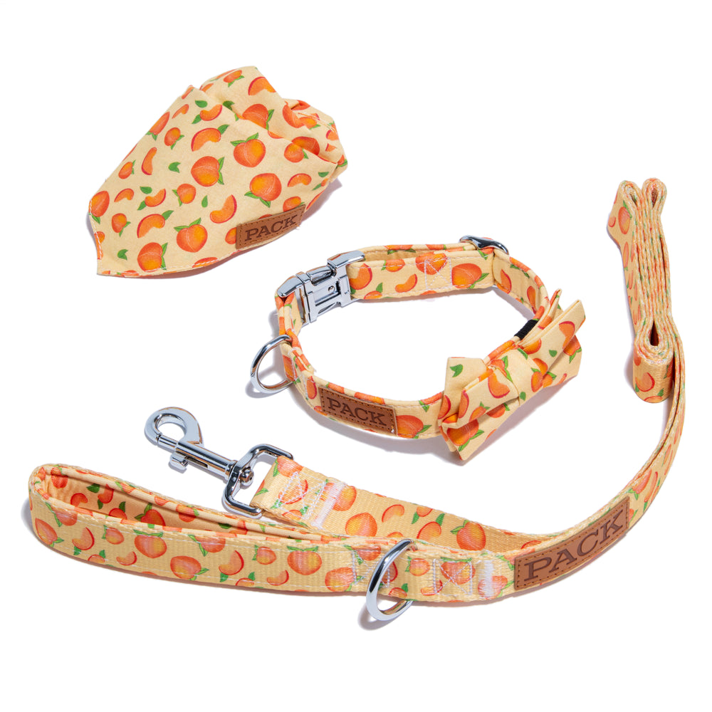 Matching Collections - Pack Leashes