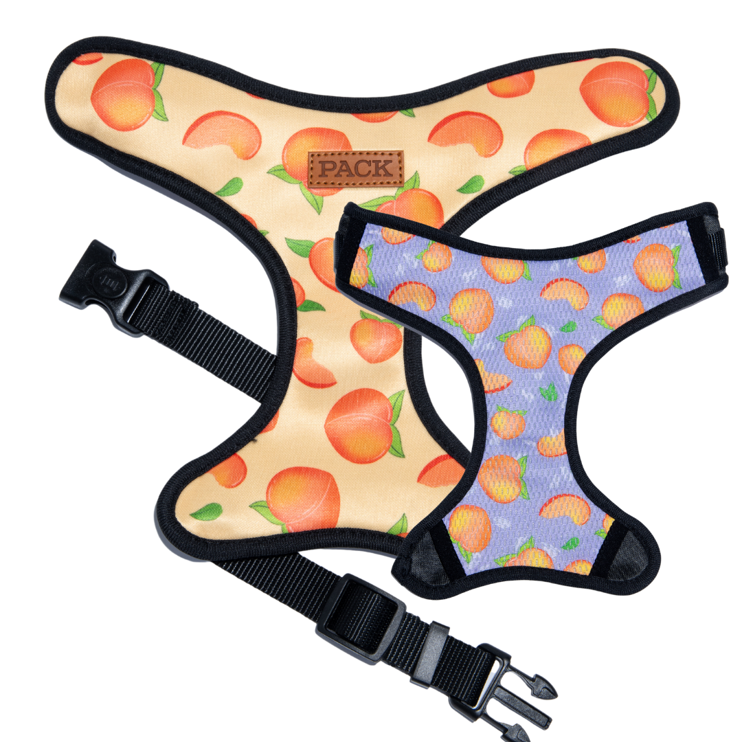 Collars & Harnesses - Pack Leashes