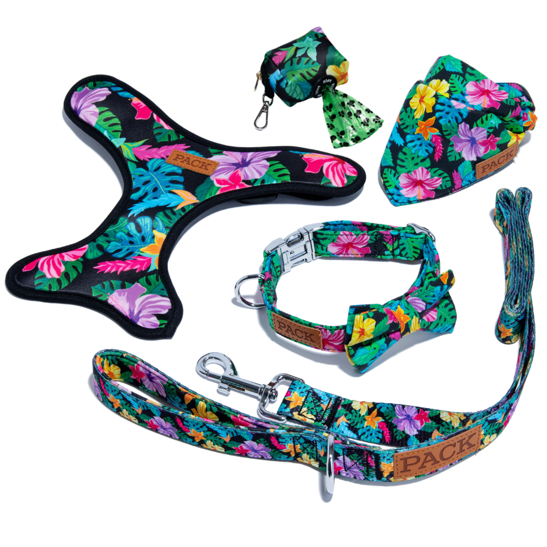 Rainforest Complete Collection - Pack Leashes