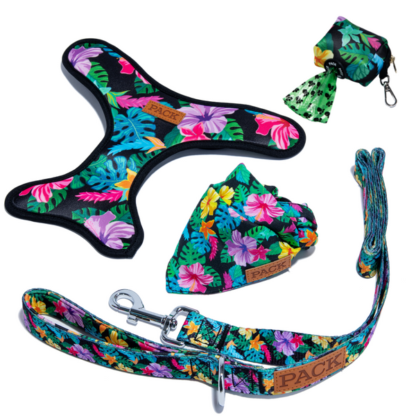 Rainforest Harness Collection - Pack Leashes
