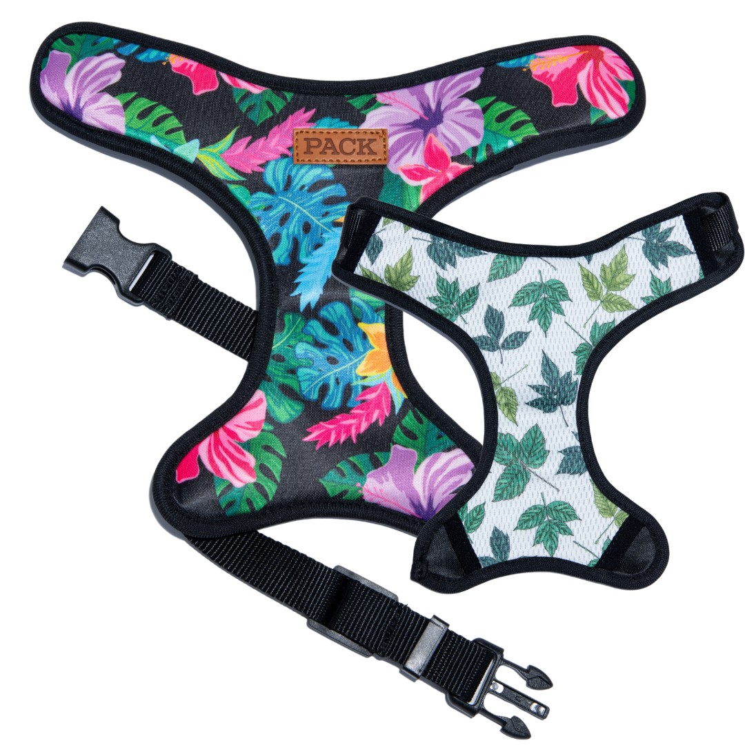 Rainforest // Flora - Pack Leashes