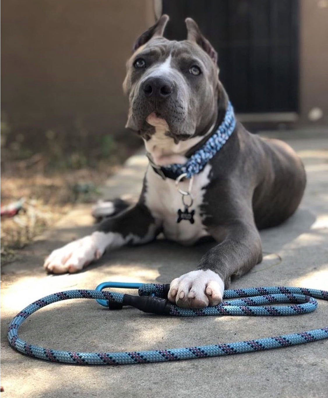 Oceanic Rope Dog Leash - Pack Leashes